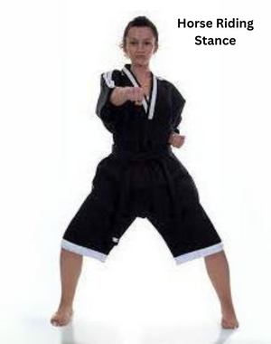 Taekwondo Stances Every Martial Artist Should Know
