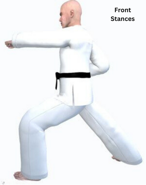 Taekwondo Stances Every Martial Artist Should Know