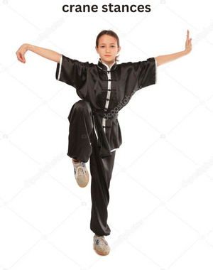 Taekwondo Stances Every Martial Artist Should Know