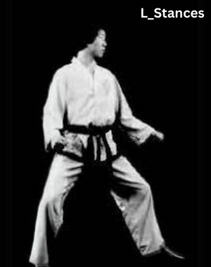 Taekwondo Stances Every Martial Artist Should Know