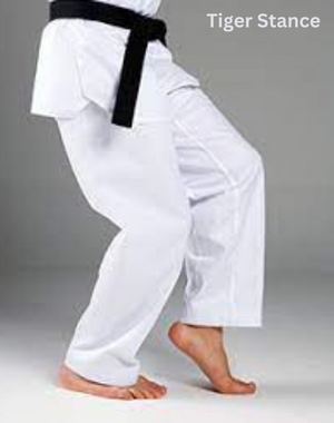 Taekwondo Stances Every Martial Artist Should Know