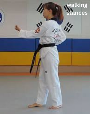 Taekwondo Stances Every Martial Artist Should Know